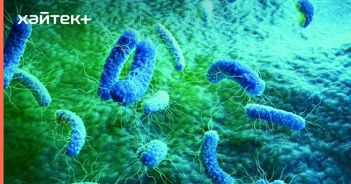 Новый антибиотик широкого спектра действия предотвращает резистентность