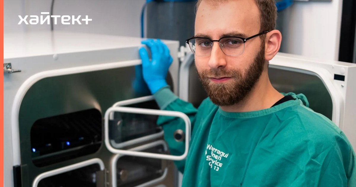 Cortical Labs: "У биокомпьютера с клетками мозга человека есть ...