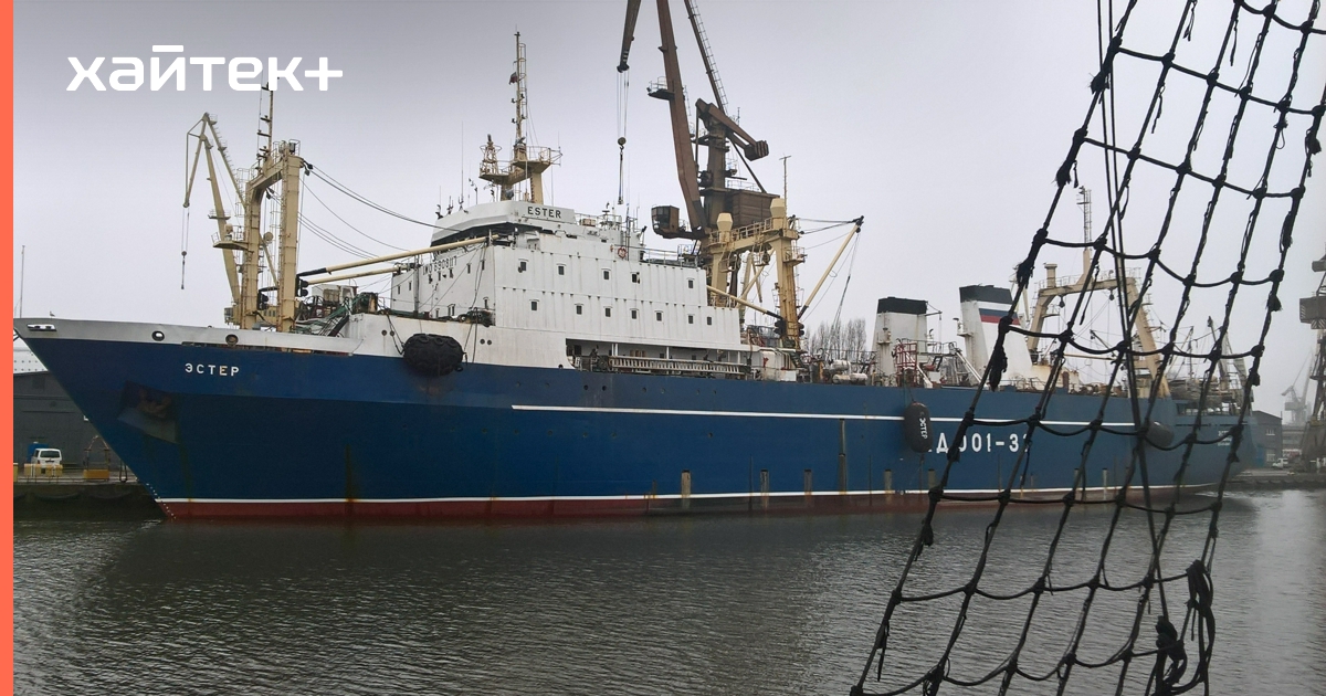 Технологии в рыболовстве - одна из главных причин вымирания рыб